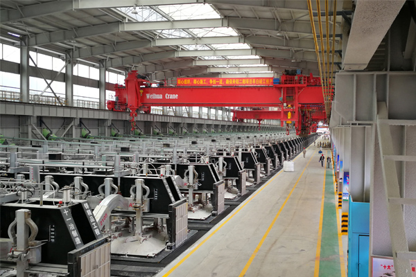 Electrolytic Aluminum Multi-purpose Cranes Manufacturer - Weihua Crane